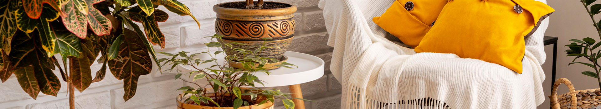 Living - The Home Interiors Store